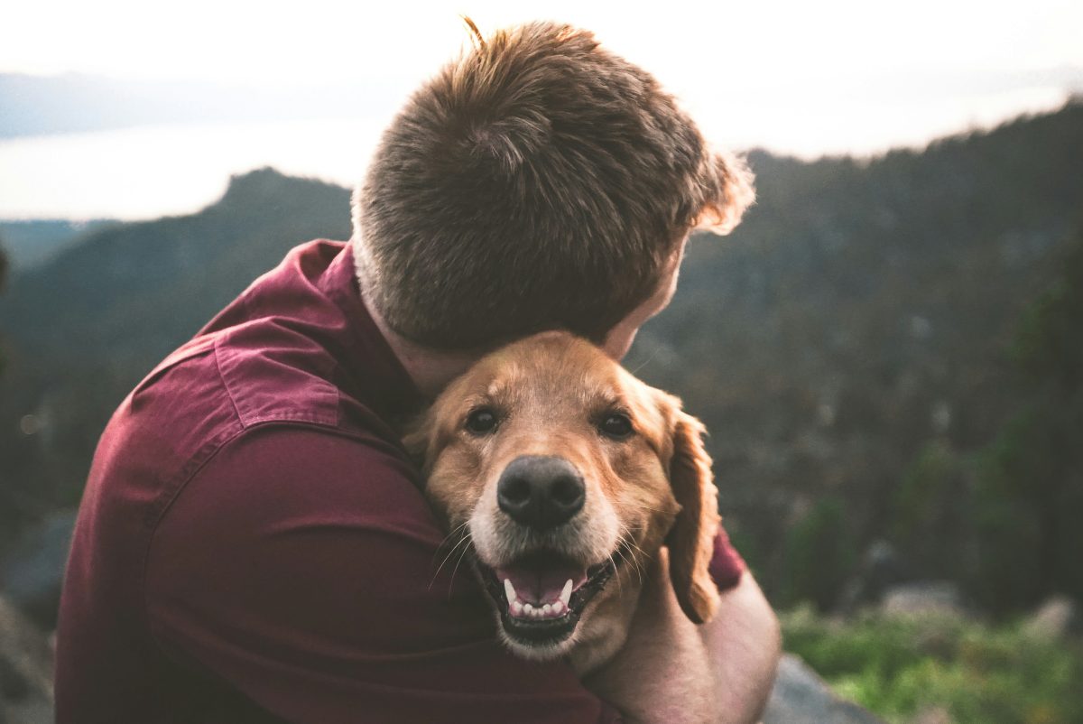 The Influence of Pets on Human Mental Health: Psychological Benefits ...